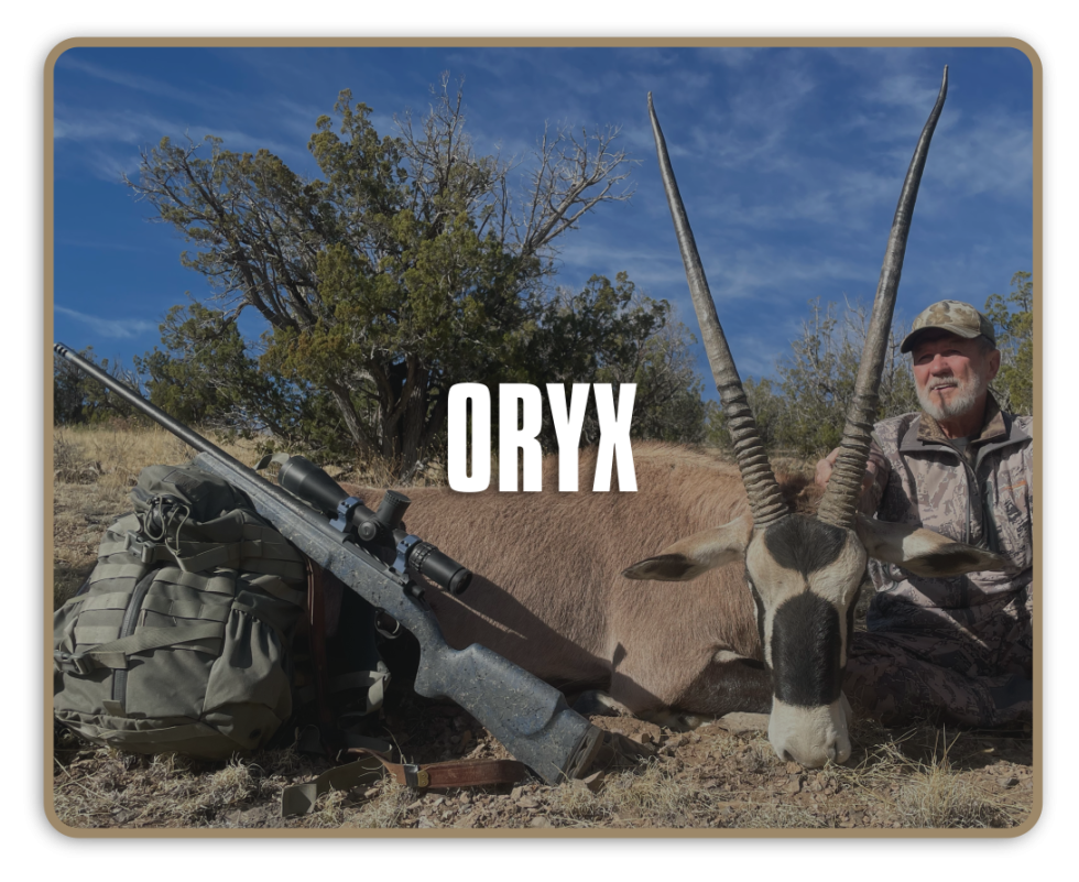 EXOTICS | Diamond Outfitters